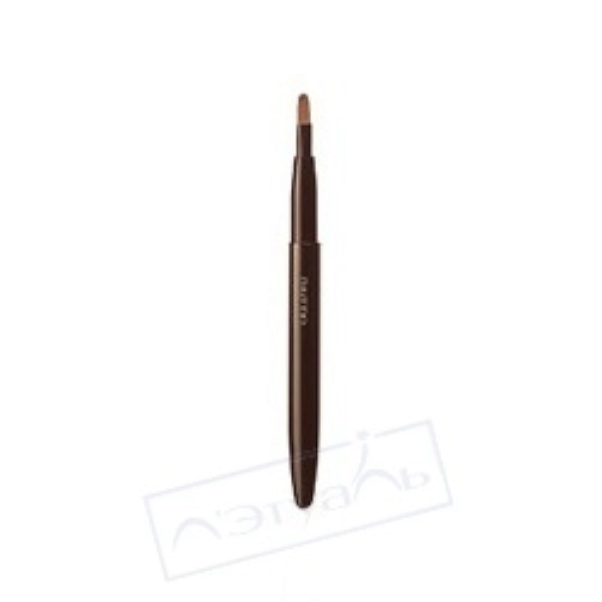 SHISEIDO Портативная кисточка для губ Portable Lip Brush купить по ...