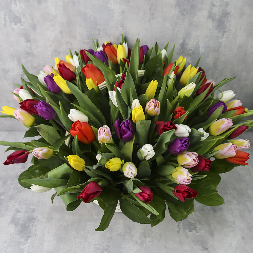 FLORPRO Корзина из 101 тюльпана «Тюльпаны микс», 1 шт. купить по цене ...