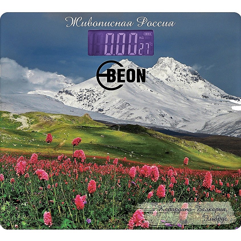 BEON ALWAYS BE ON Весы напольные электронные BEON BN-1106 купить по низким ценам в ЛЭТУАЛЬ