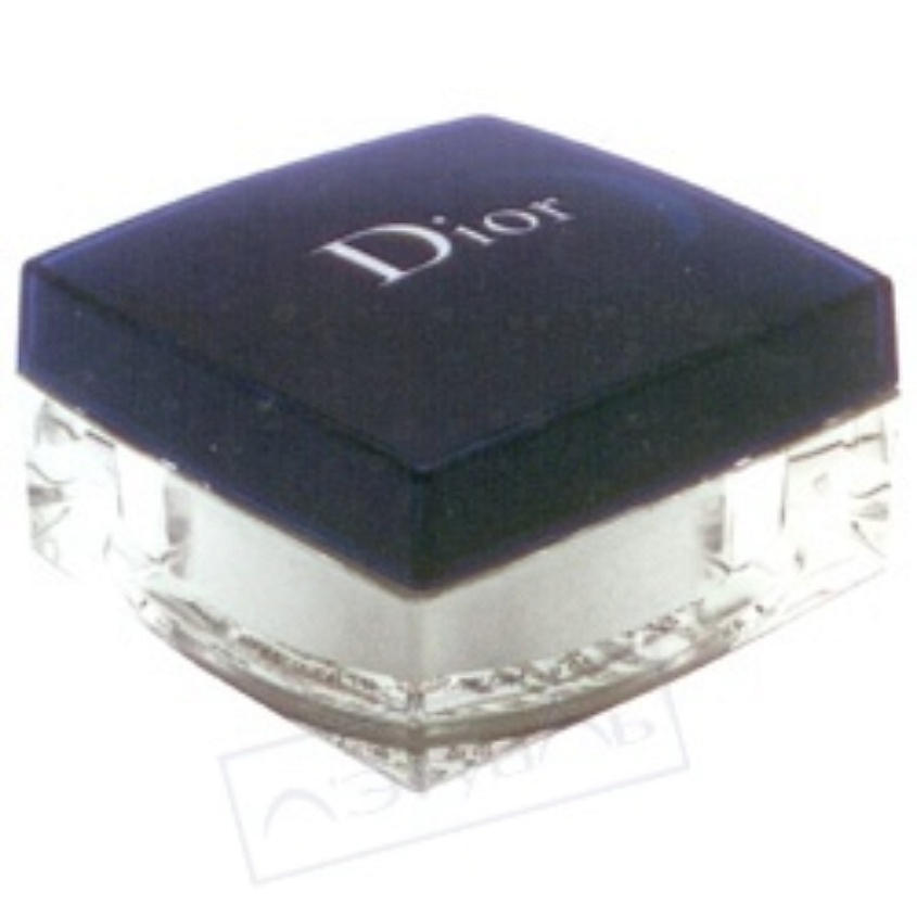 CHRISTIAN DIOR Стойкая рассыпчатая пудра DiorSkin Extreme Fix купить по ...